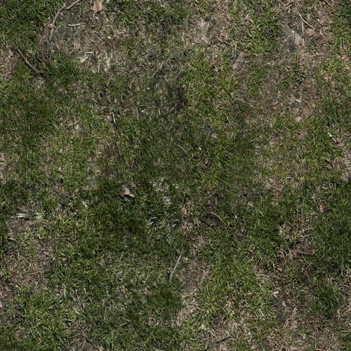 Texture JPEG grass ground lawn