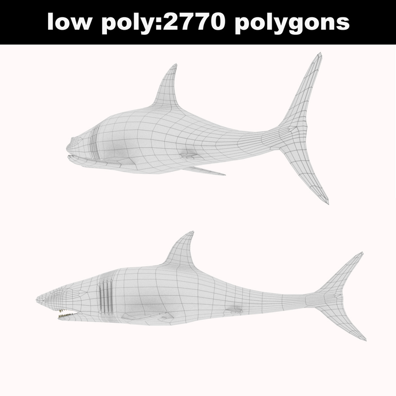 3d shark great white model