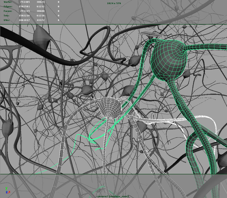 3d neuron nerve synapses