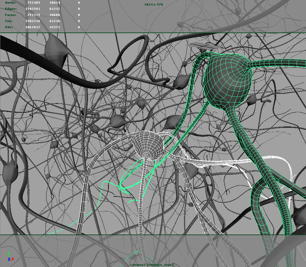 3d neuron nerve synapses