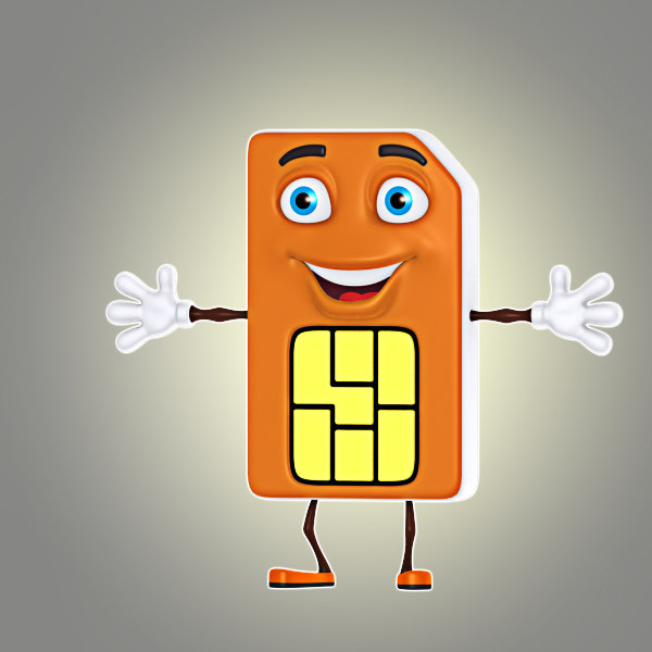 3d cartoon sim card model