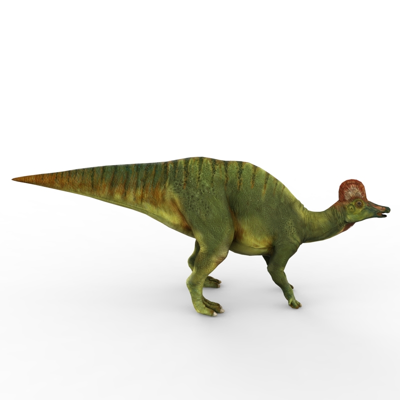 3d hadrosaurus