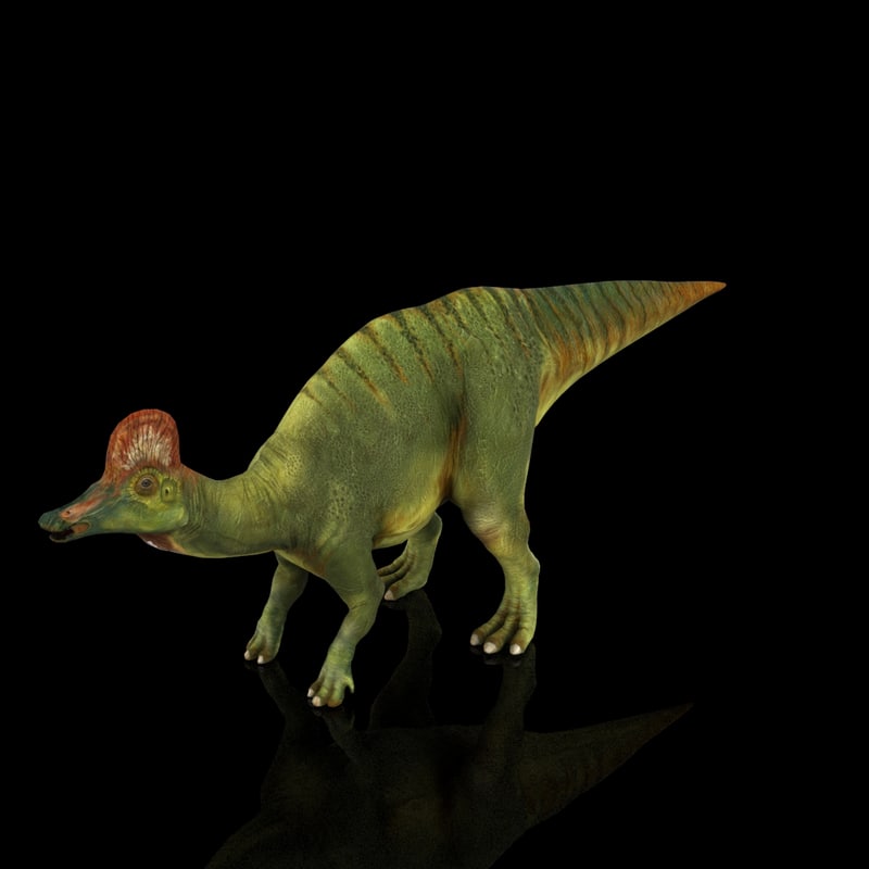 3d hadrosaurus