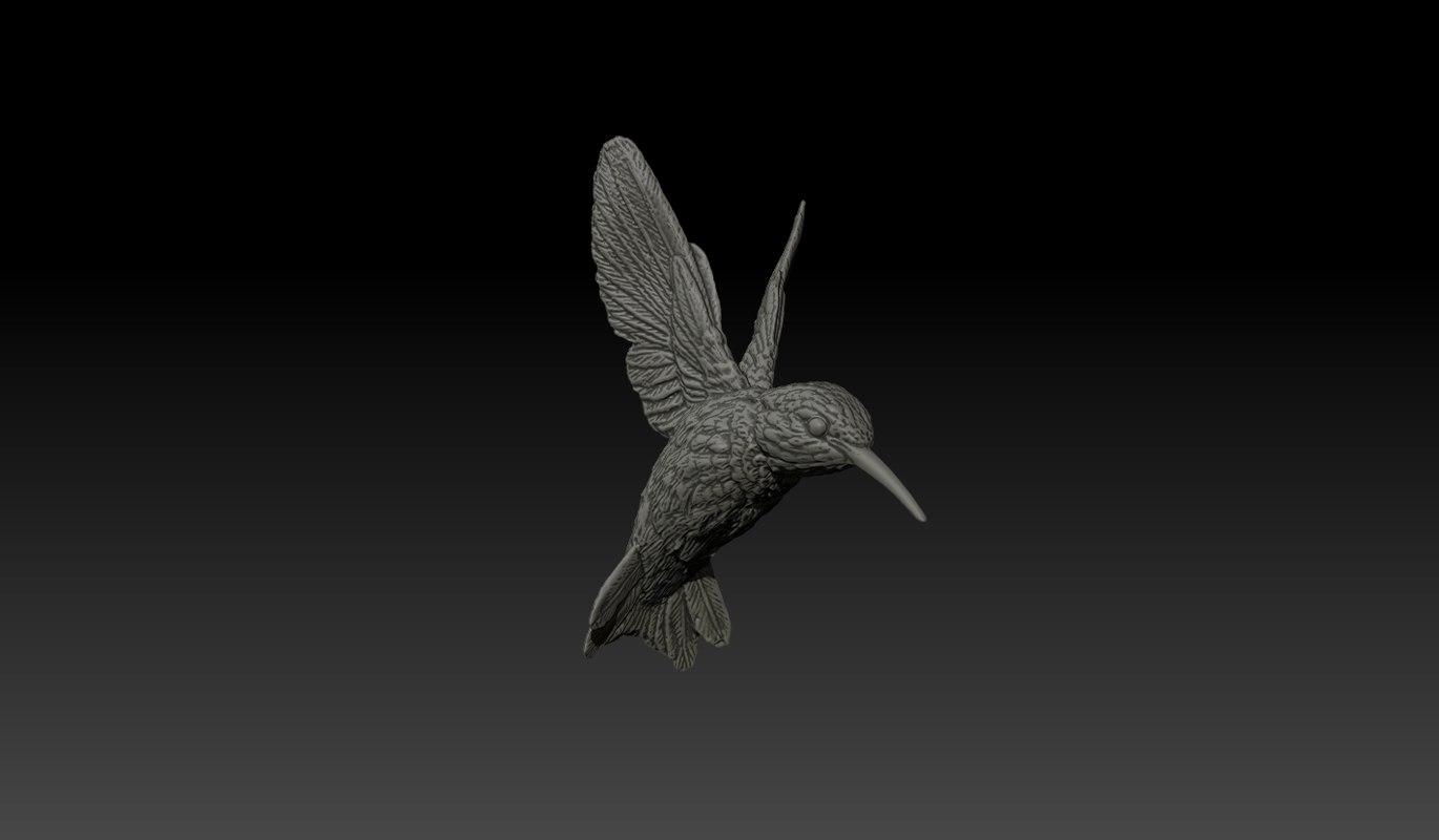Humming Bird 3d Model