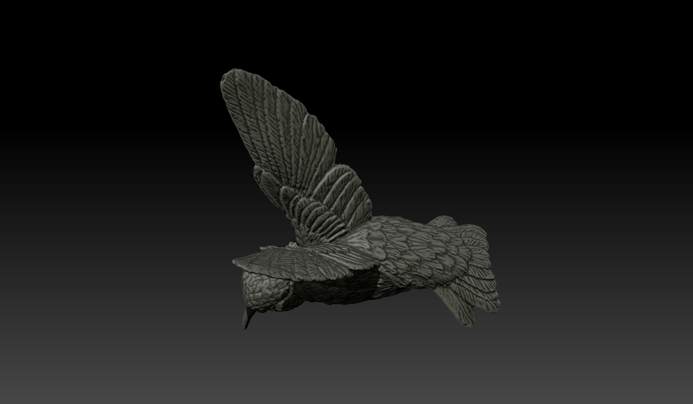 humming bird 3d model