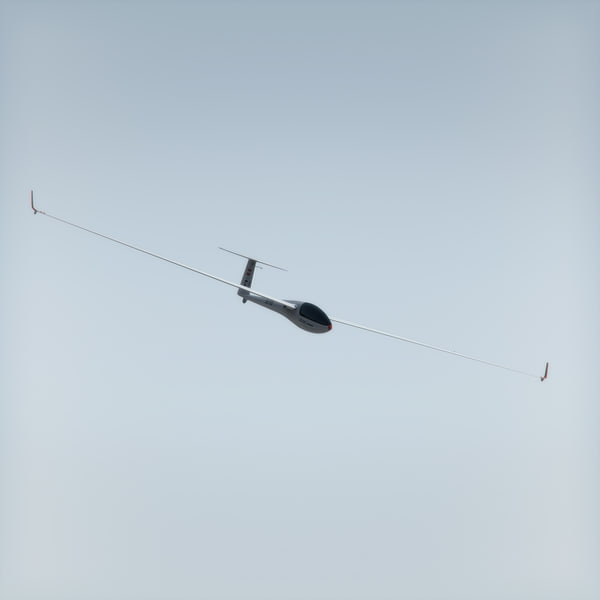 max glider dg-808s simple