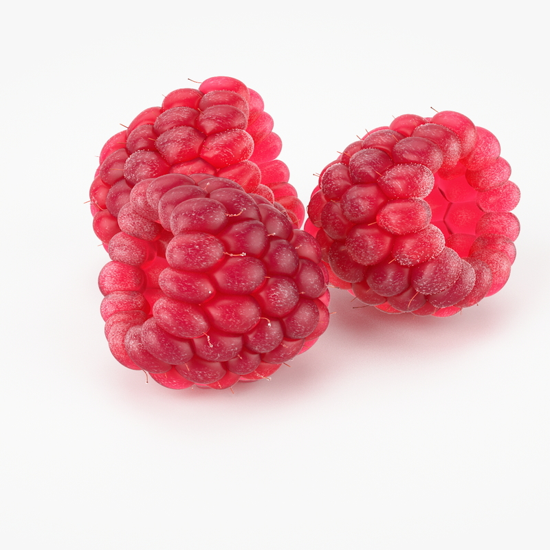 3d realistic raspberry real fruit model