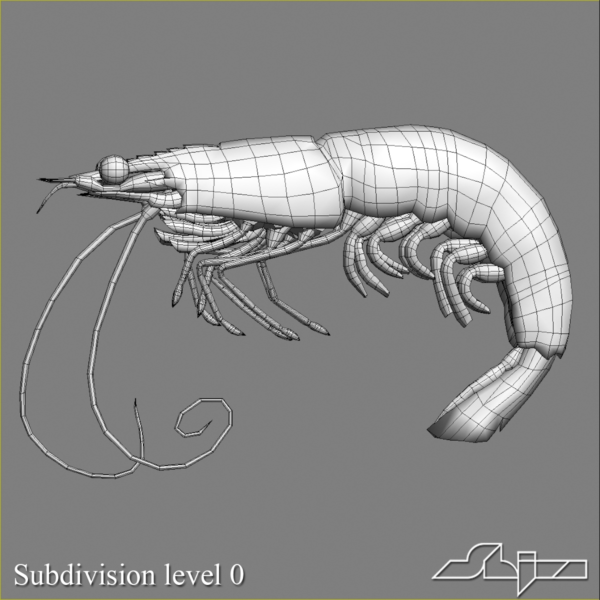 shrimp 3ds