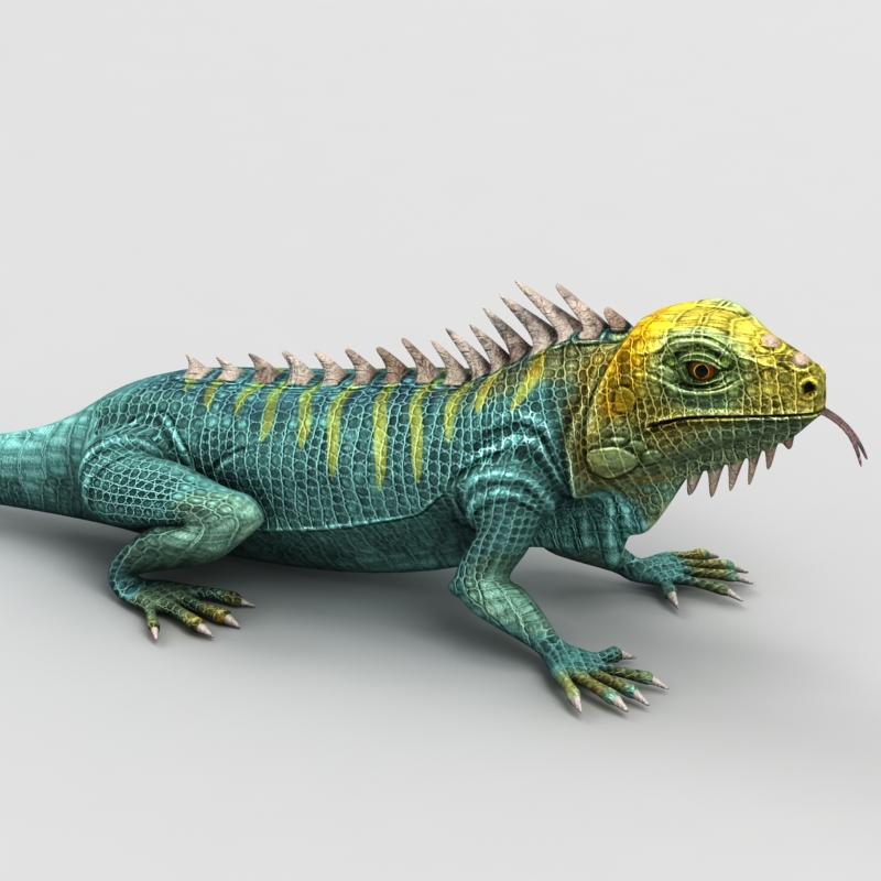 3d max iguana lizard