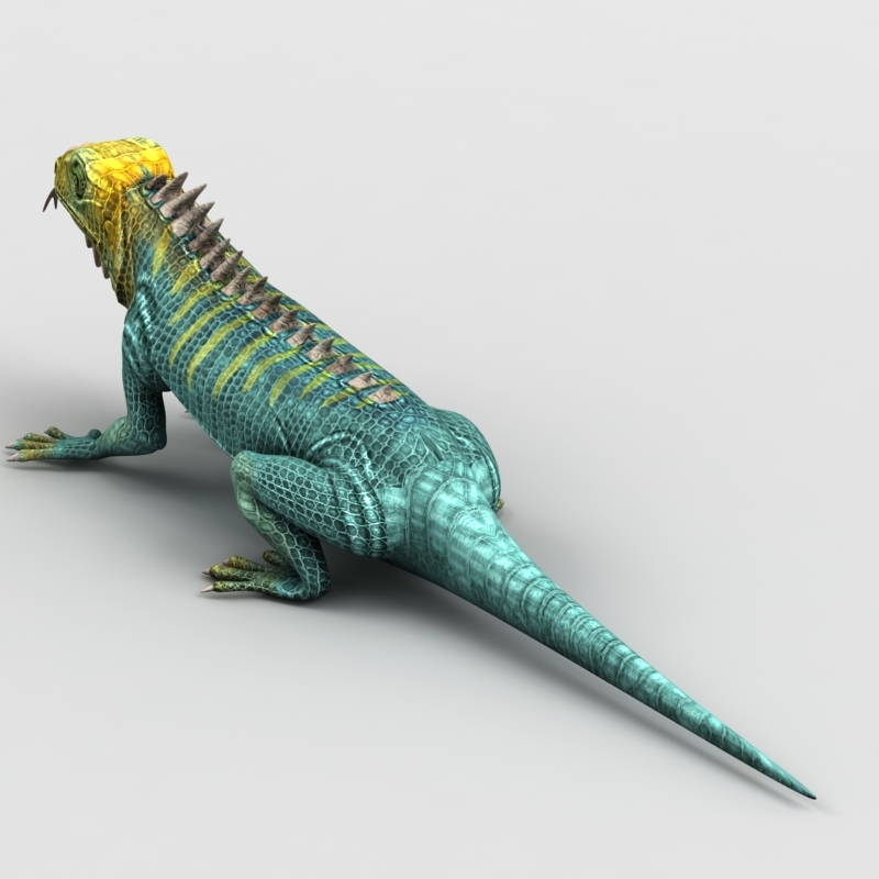 3d max iguana lizard