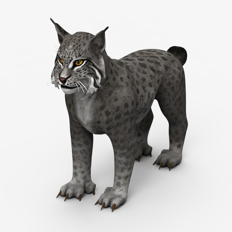 lynx 3d max