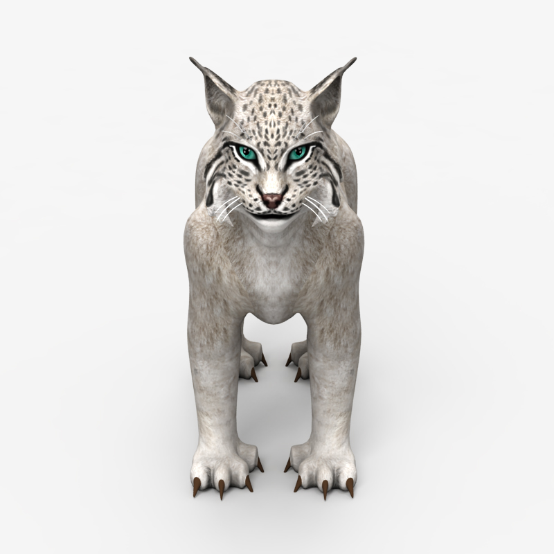 3d lynx