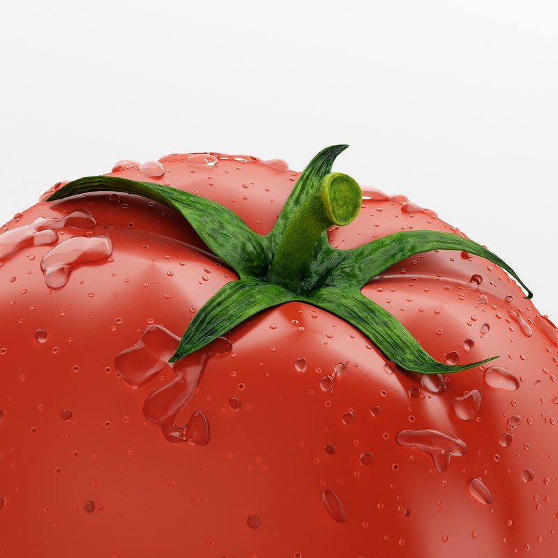 realistic tomato modeled 3d model