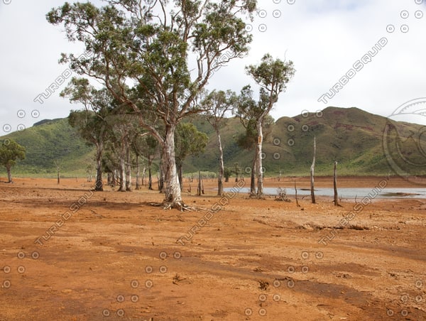 Stock lake backplate nature