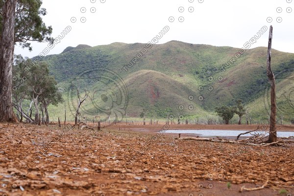 Stock lake backplate nature