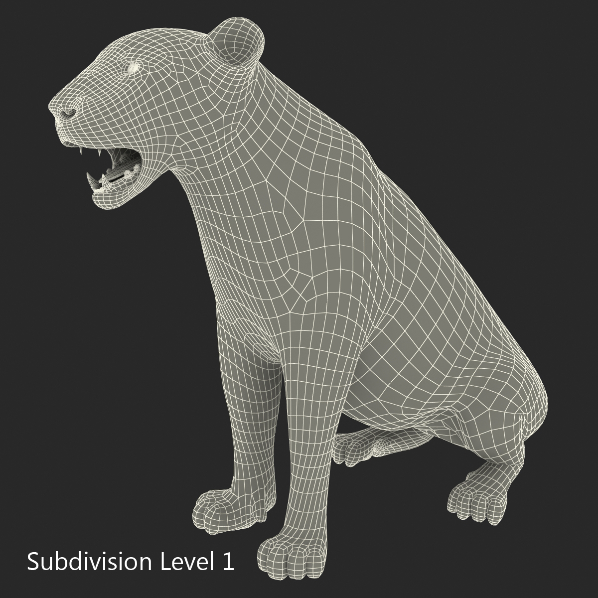 3d lioness pose 4 model