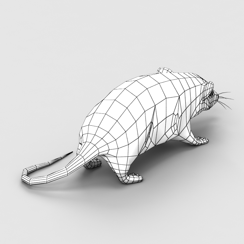 rat mouse 3d model