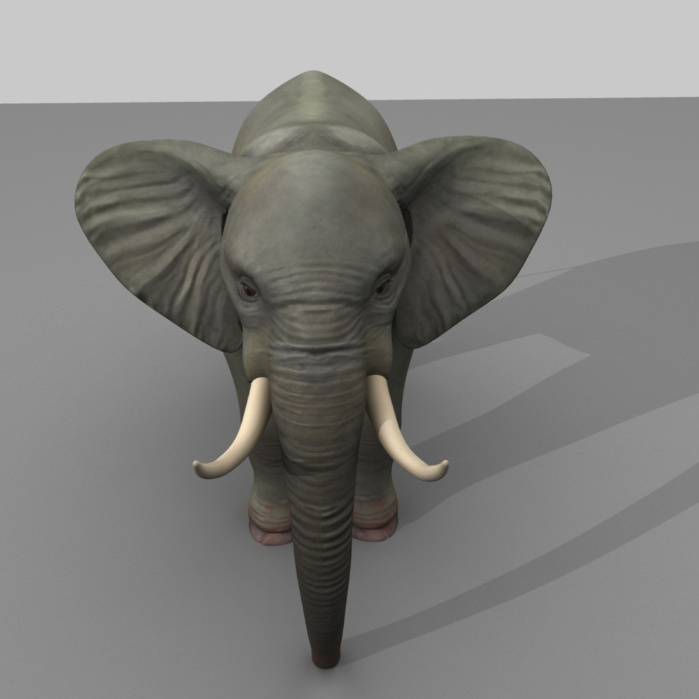 max elephant
