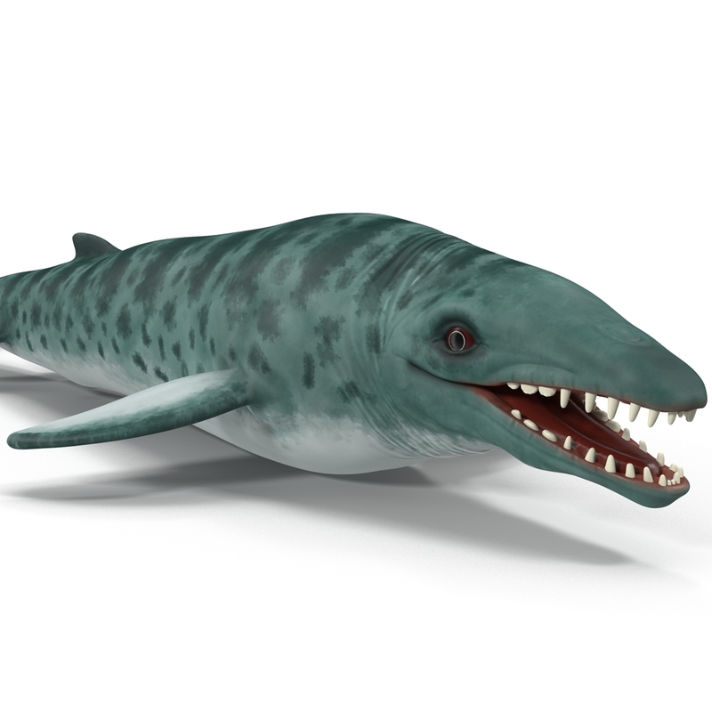 basilosaurus 3d max