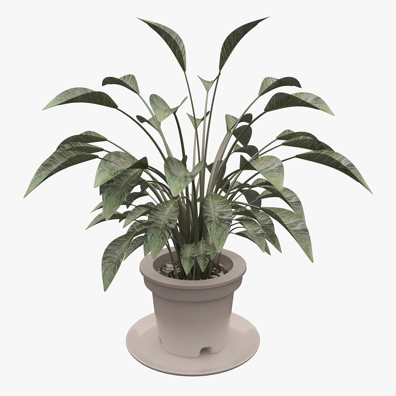 plant 3d obj
