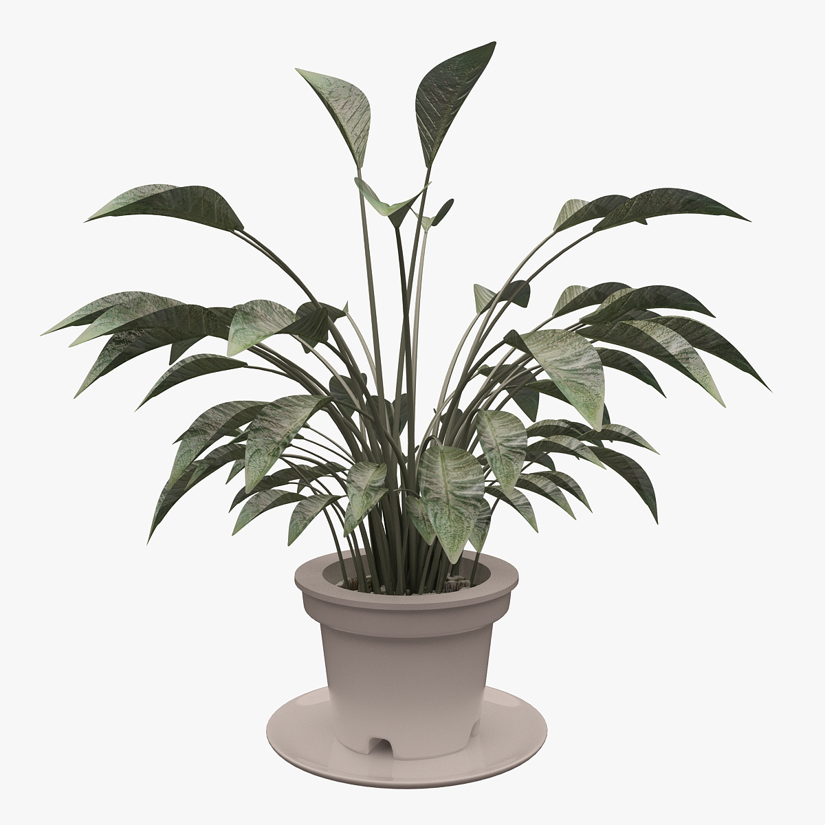 plant 3d obj