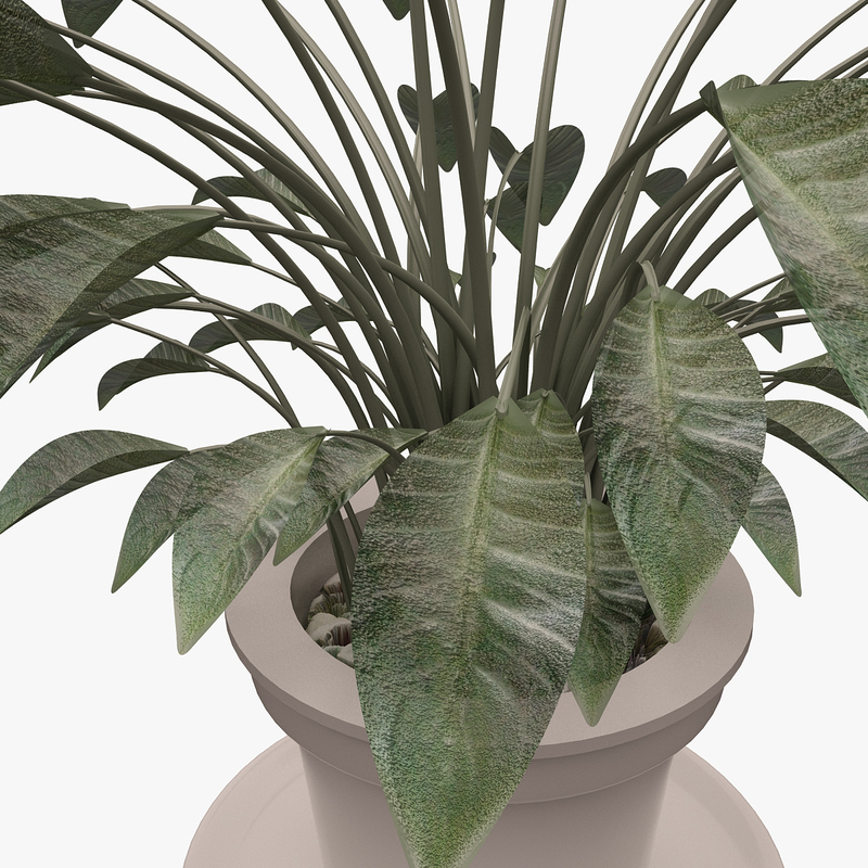 plant 3d obj