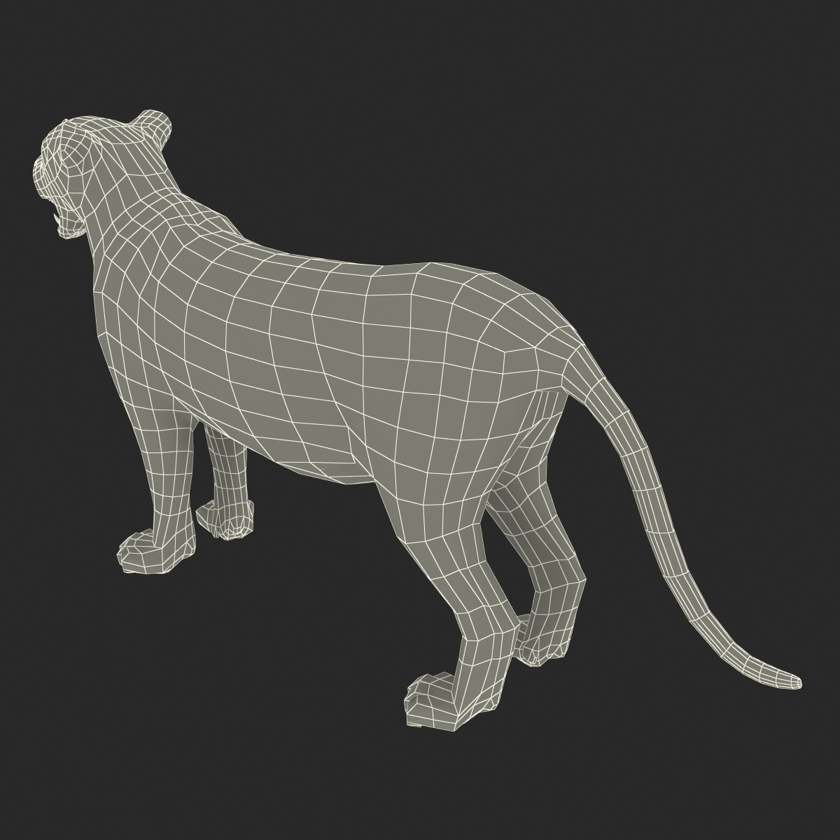 3d model of lioness rigged