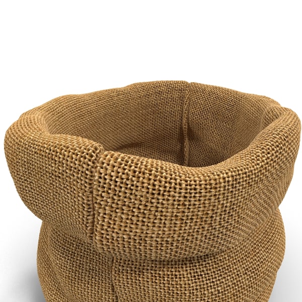sack 3d model