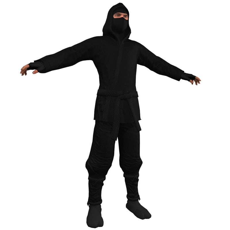 ninja 1 3d model