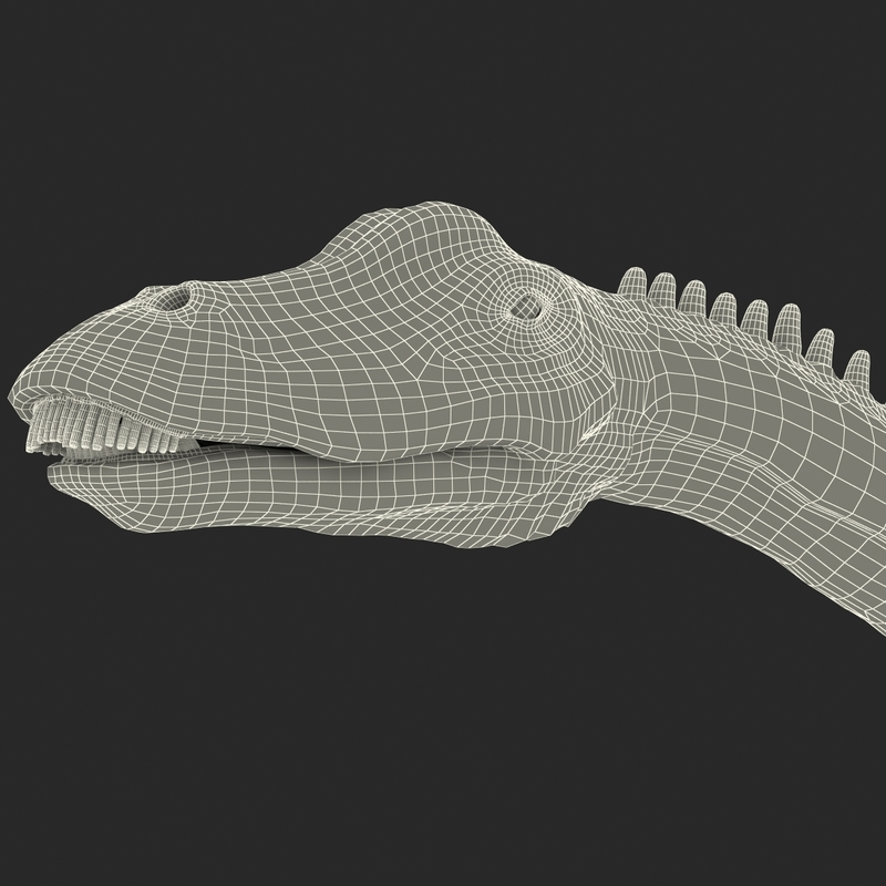 3d model diplodocus rigged