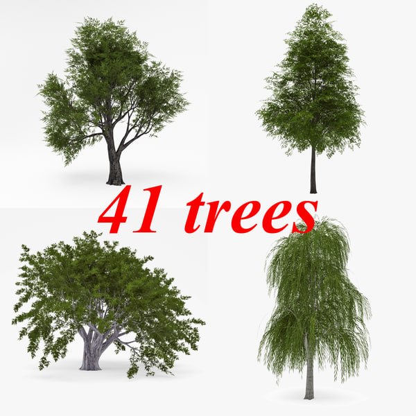 hi realistic series tree 3d max