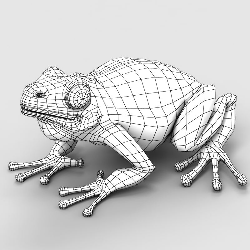 3d model frog