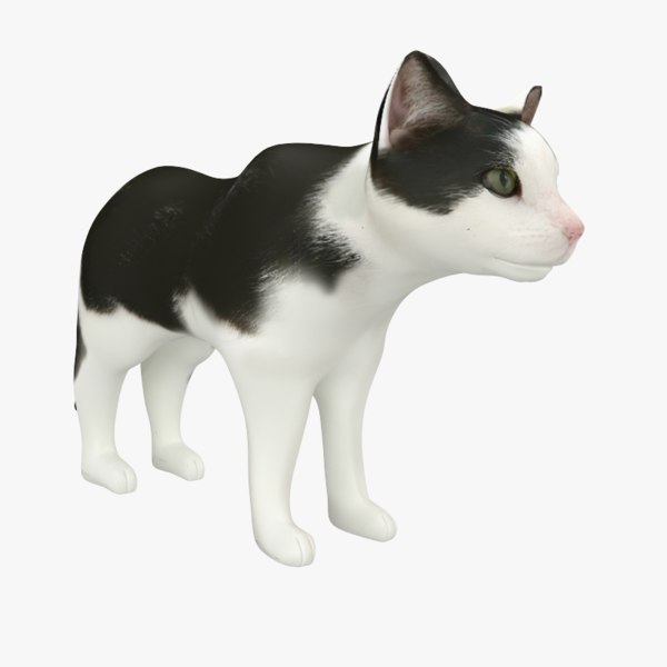 max cats feline kitty