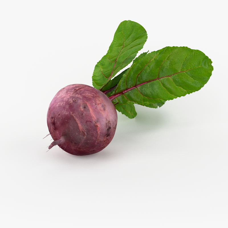 realistic beetroot real vegetables 3d model