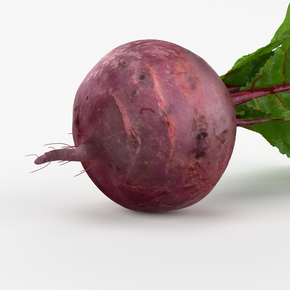 realistic beetroot real vegetables 3d model