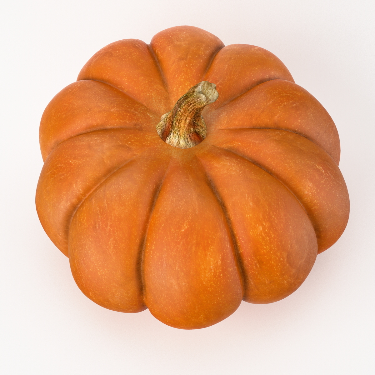 3d model realistic pumpkin real