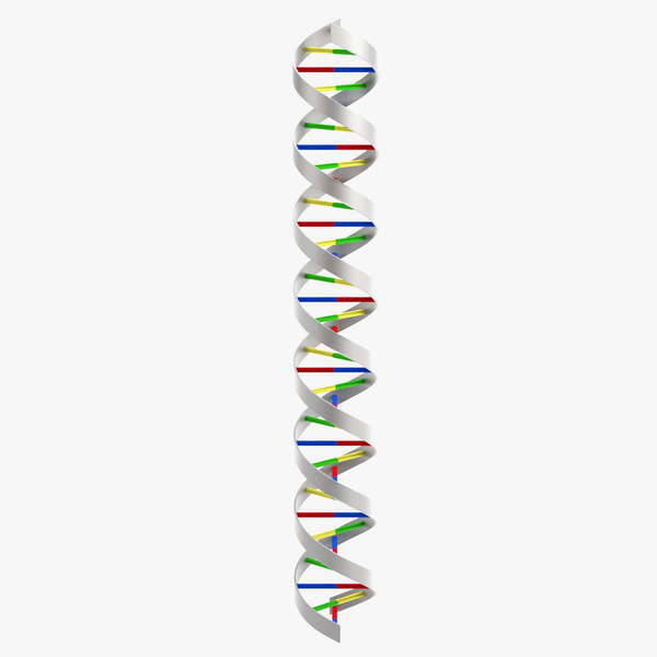 DNA 3D Models for Download | TurboSquid
