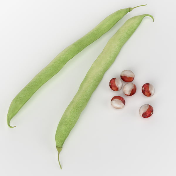 max realistic beans real