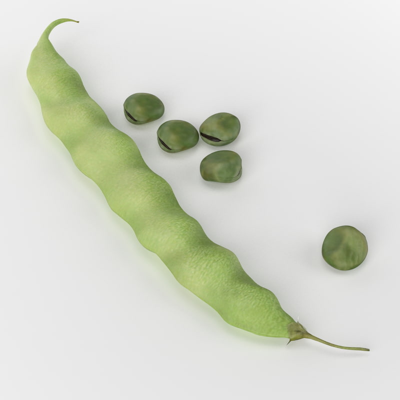 realistic beans real 3d model
