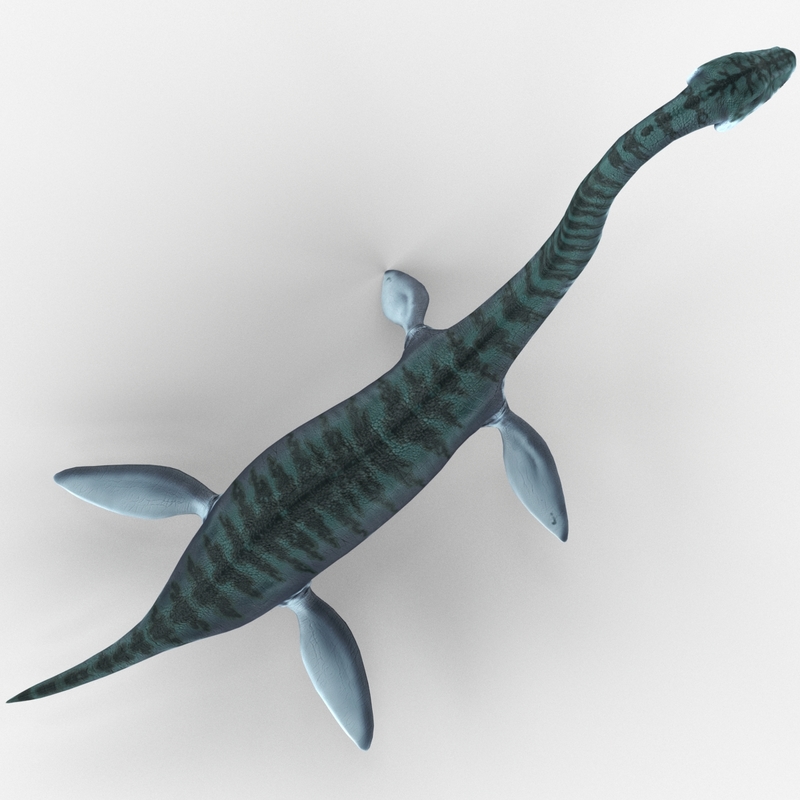 3d model plesiosaur pose 2