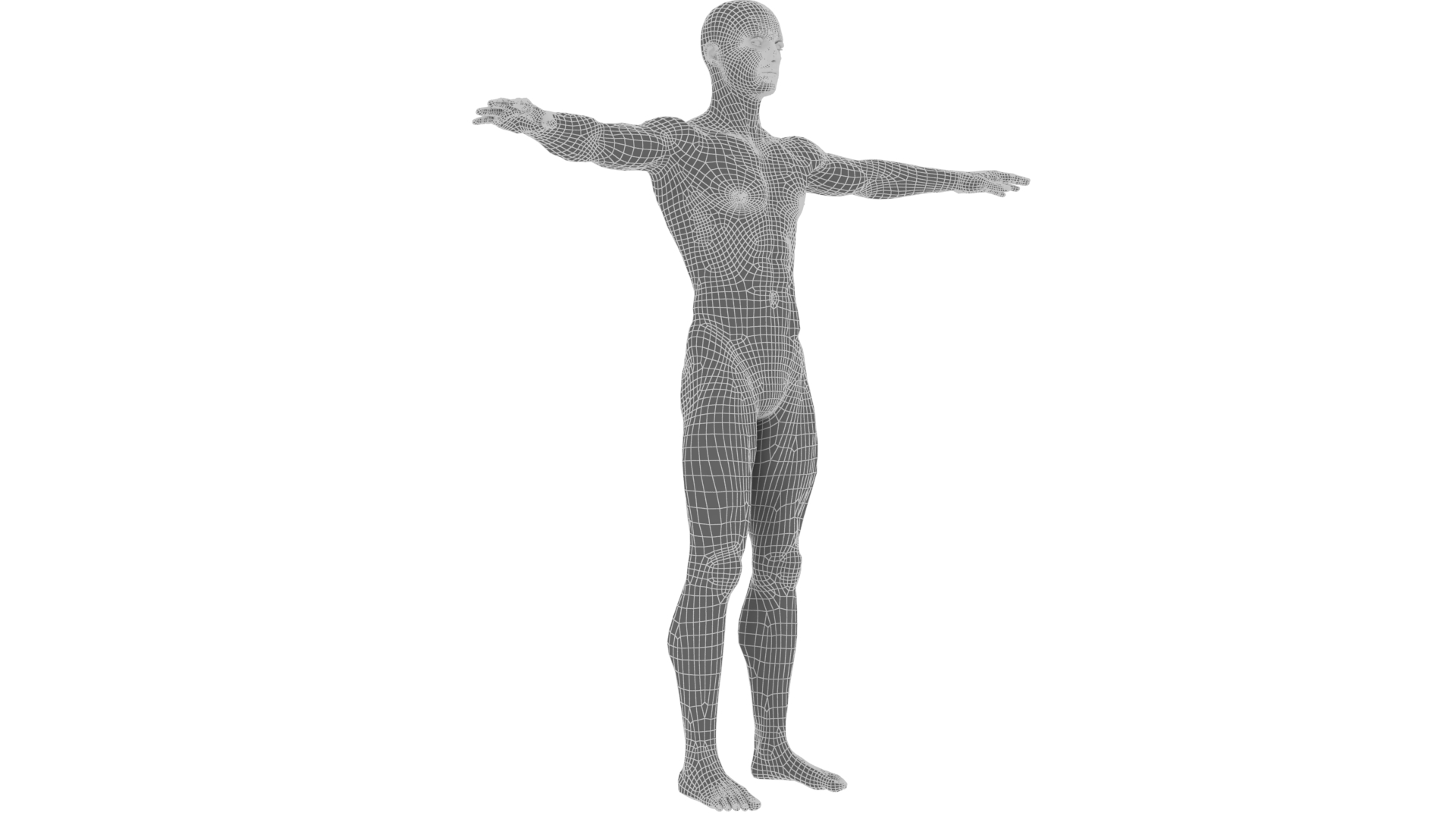 realistic male body character 3d model