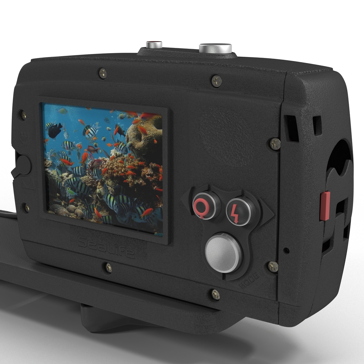 max sealife reefmaster underwater dive