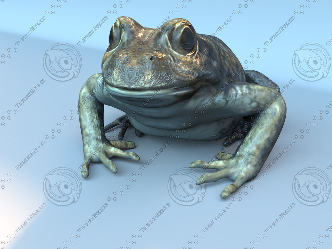 3d model frog