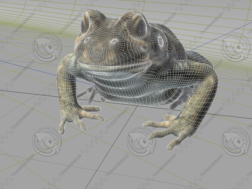3d model frog