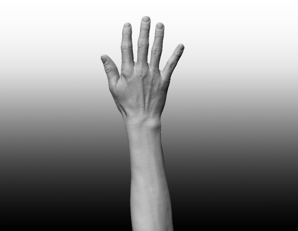 resolution scan male arm obj