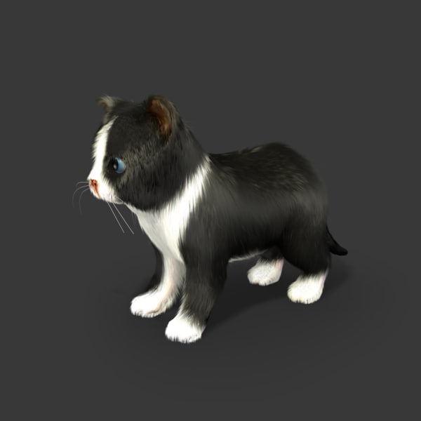3d kitten animations rig