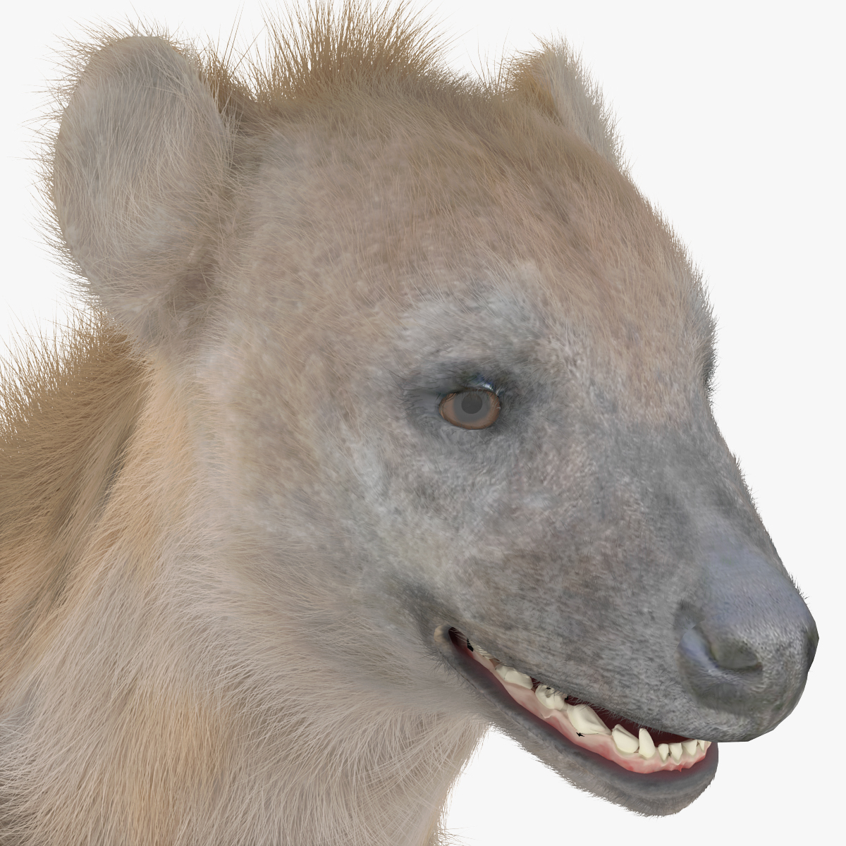 hyena fur rigged