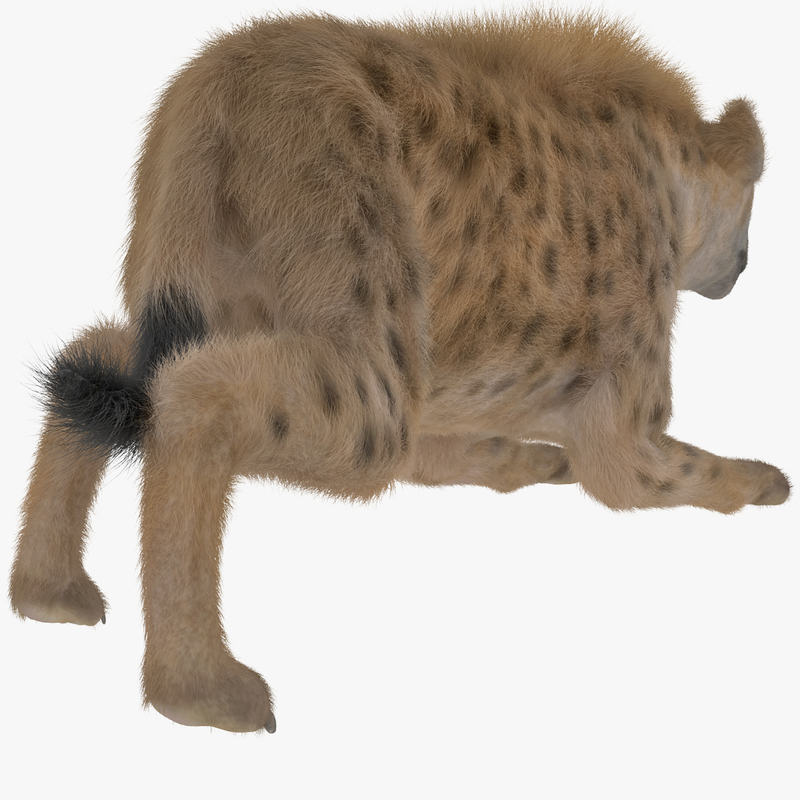 hyena fur rigged