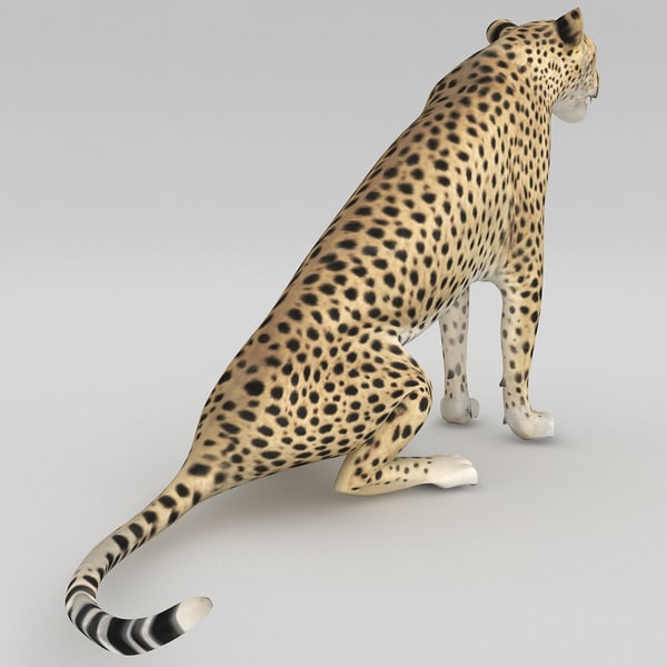 cheetah pose ds