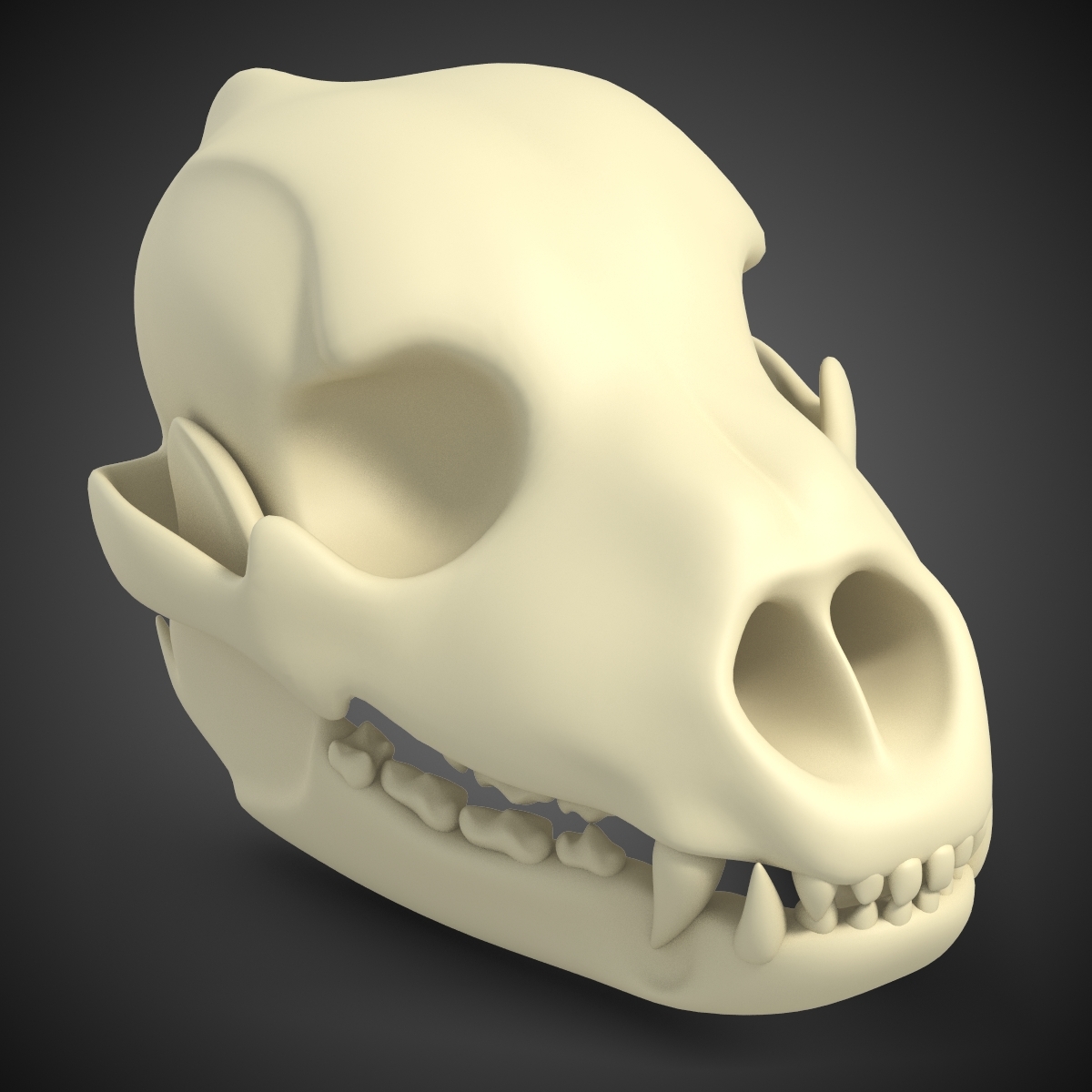 max skull bear